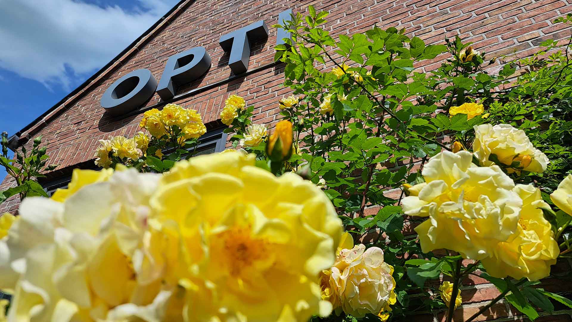 OPTI health consulting GmbH - Von Anfang an an Ihrer Seite